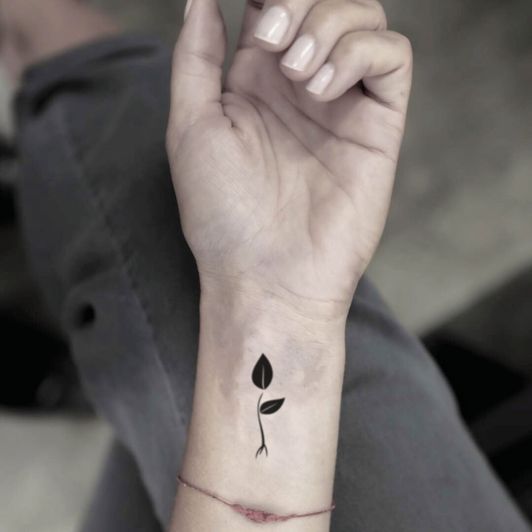 Sprout Temporary Tattoo Sticker (set of 4) - Etsy