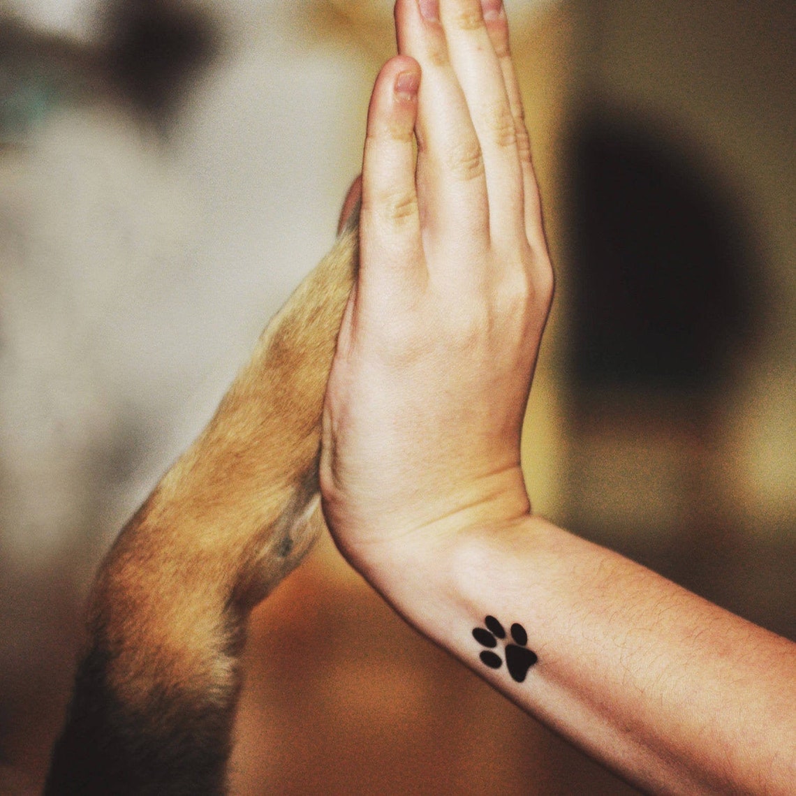 Animal Paw Temporary Fake Tattoo Sticker (set of 4) - Etsy