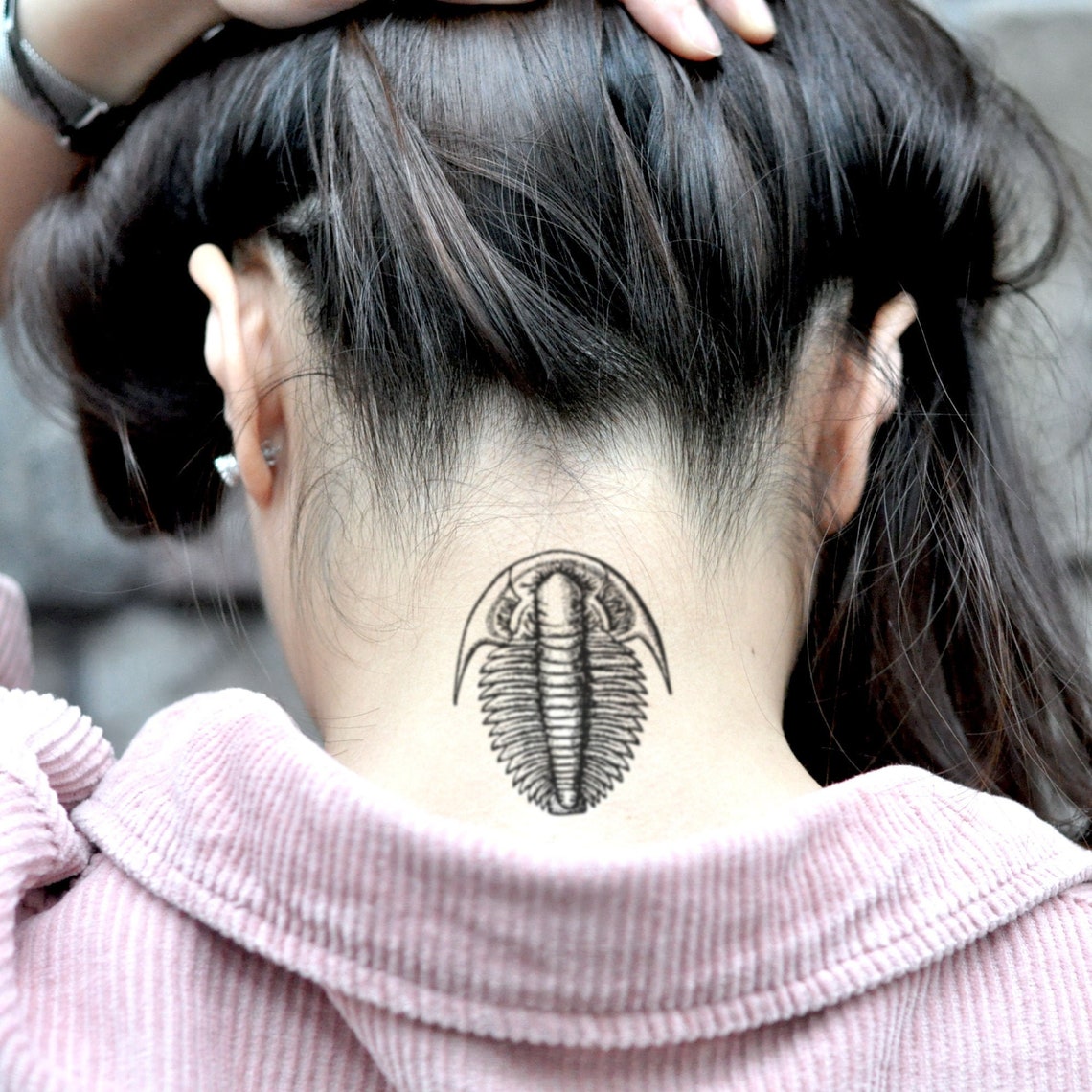 Trilobite Temporary Tattoo Sticker set of 2 | Etsy