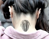 Trilobite Temporary Tattoo Sticker set of 2 - Etsy