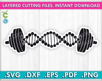 Bodybuilding Svg Fitness Svg Fitness Decor Gym Shirt Svg - Etsy