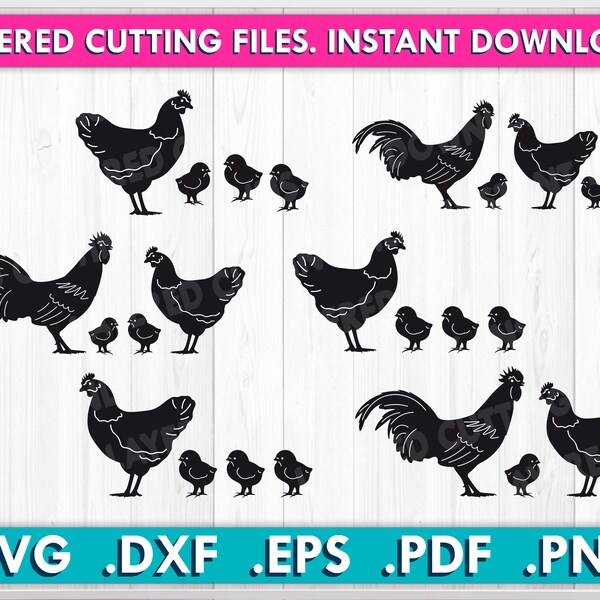 Chicken Svg - Etsy