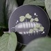 Isopod Vinyl Sticker /rolly Polly / Pill Bug - Etsy