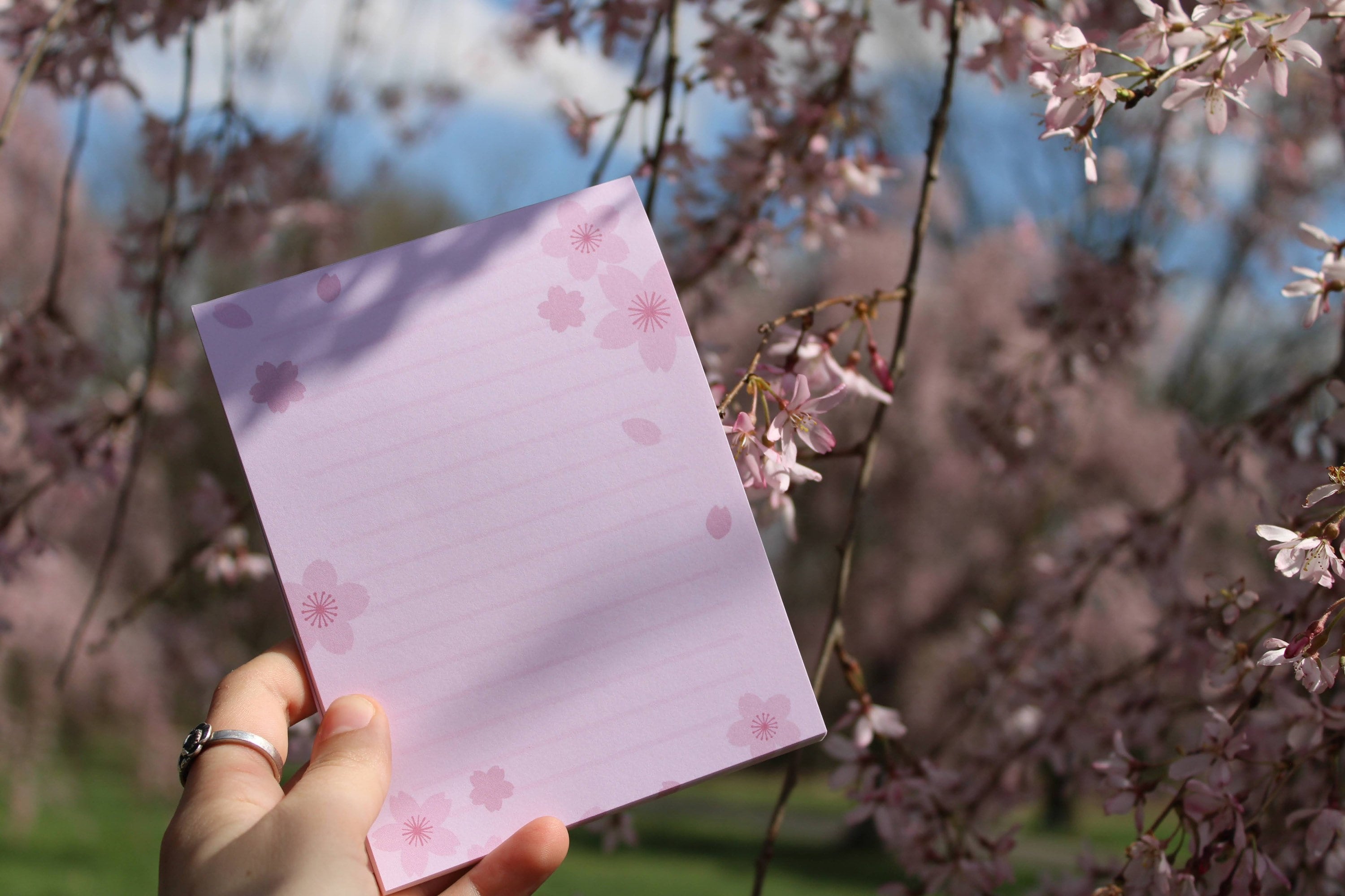 Cherry Blossom Notepad /sakura Memo Pad - Etsy