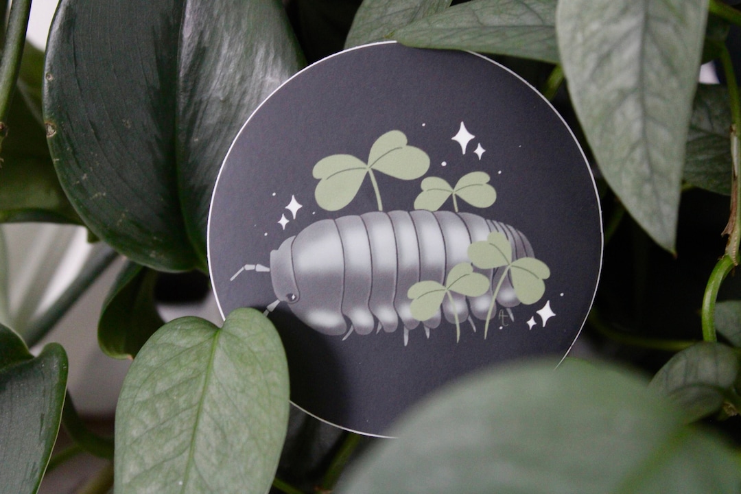 Isopod Vinyl Sticker /rolly Polly / Pill Bug - Etsy