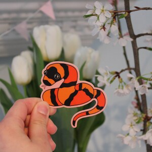 Cute Derpy Honduran Milk Snake Vinyl Sticker - Etsy