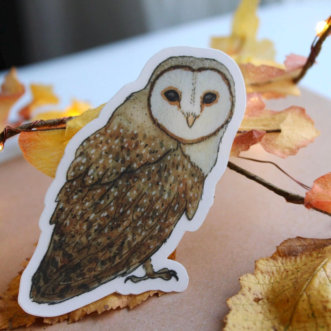 Barn Owl Clear Vinyl Sticker - Etsy