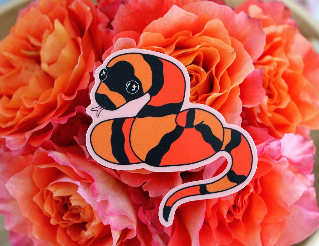 Cute Derpy Honduran Milk Snake Vinyl Sticker - Etsy
