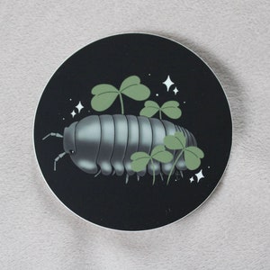 Isopod Vinyl Sticker /rolly Polly / Pill Bug - Etsy