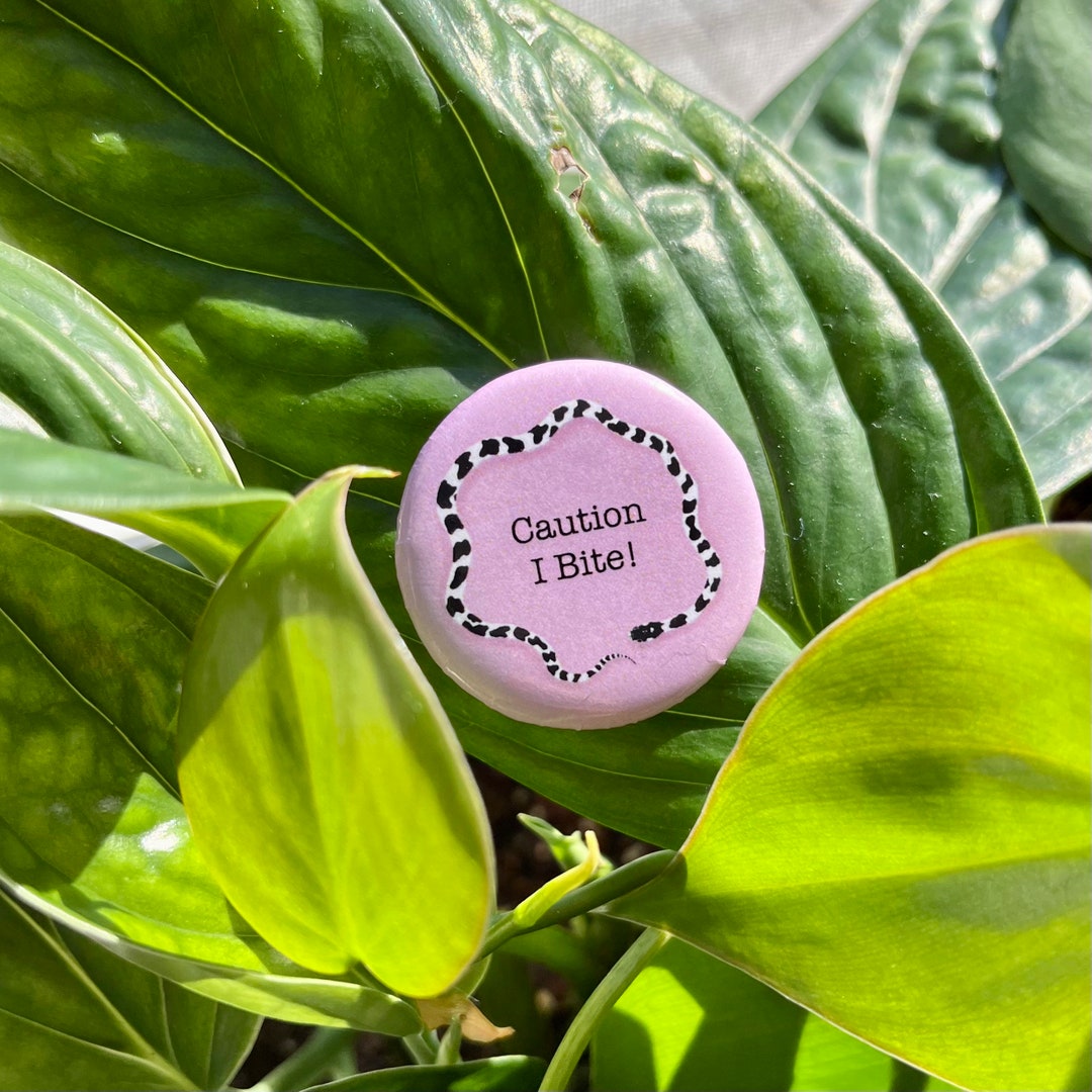 California King Snake “caution I Bite” Button Pin - Etsy