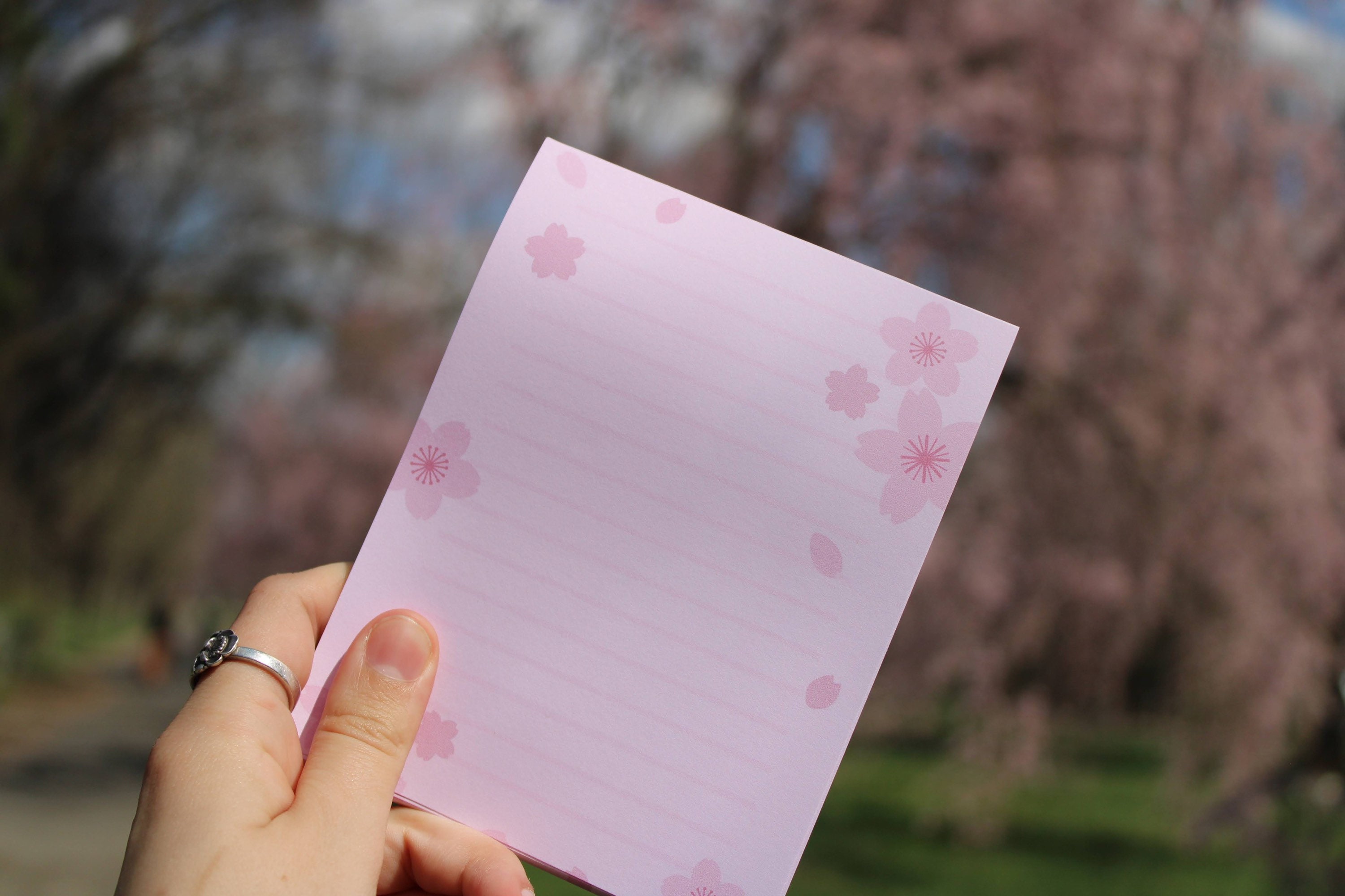Cherry Blossom Notepad /sakura Memo Pad - Etsy