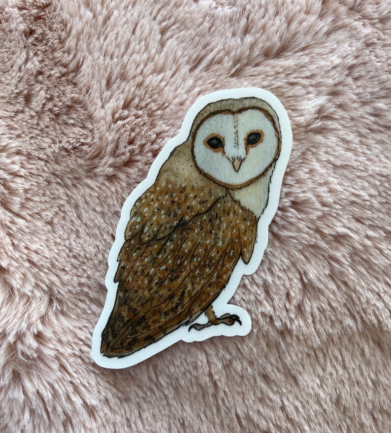 Barn Owl Clear Vinyl Sticker - Etsy