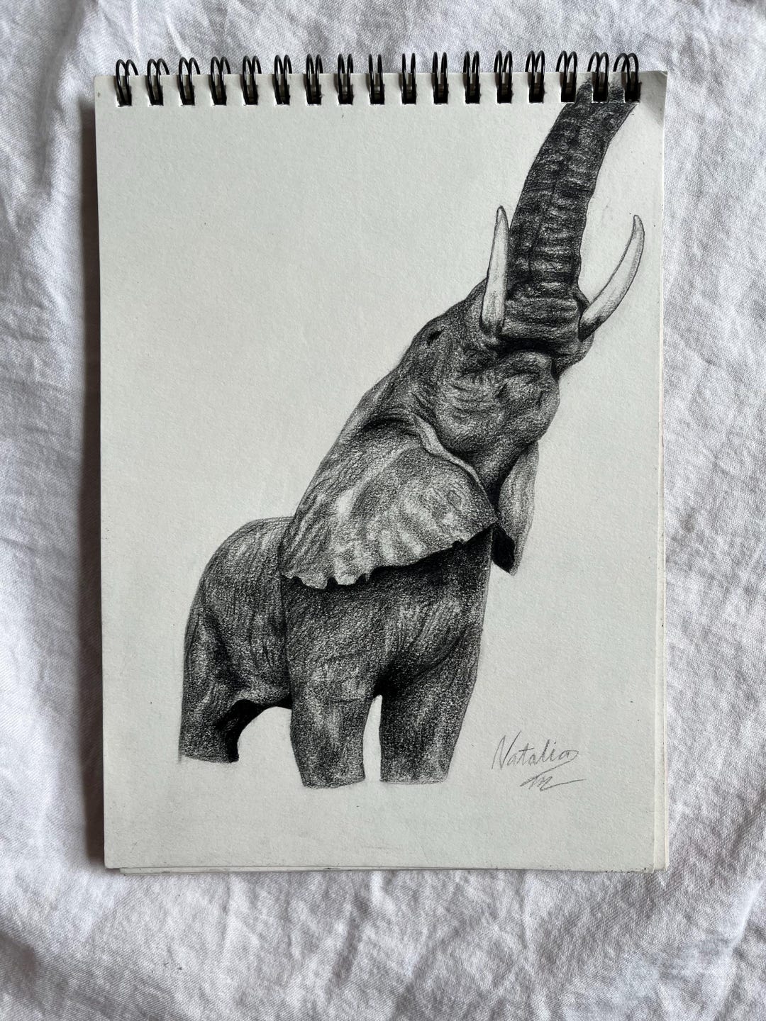 Custom Colored Pencil Animal Drawing/portrait/animal Lover Gift ...