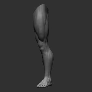 3D Realistic Male Legs Procreate 3D Procreate Stamps Procreate Model 3D ...