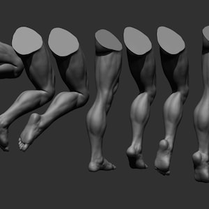 3D Realistic Male Legs Procreate 3D Procreate Stamps Procreate Model 3D ...