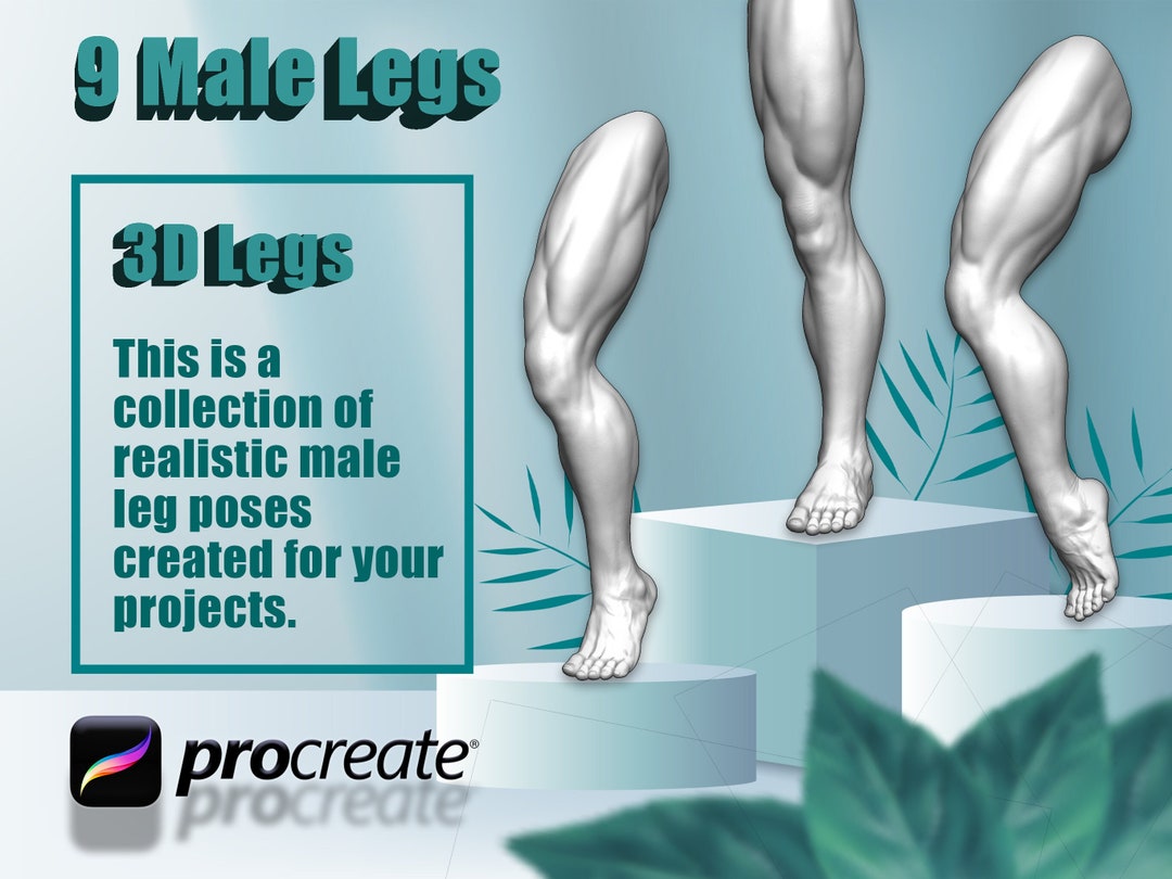 3D Realistic Male Legs Procreate 3D Procreate Stamps Procreate Model 3D ...