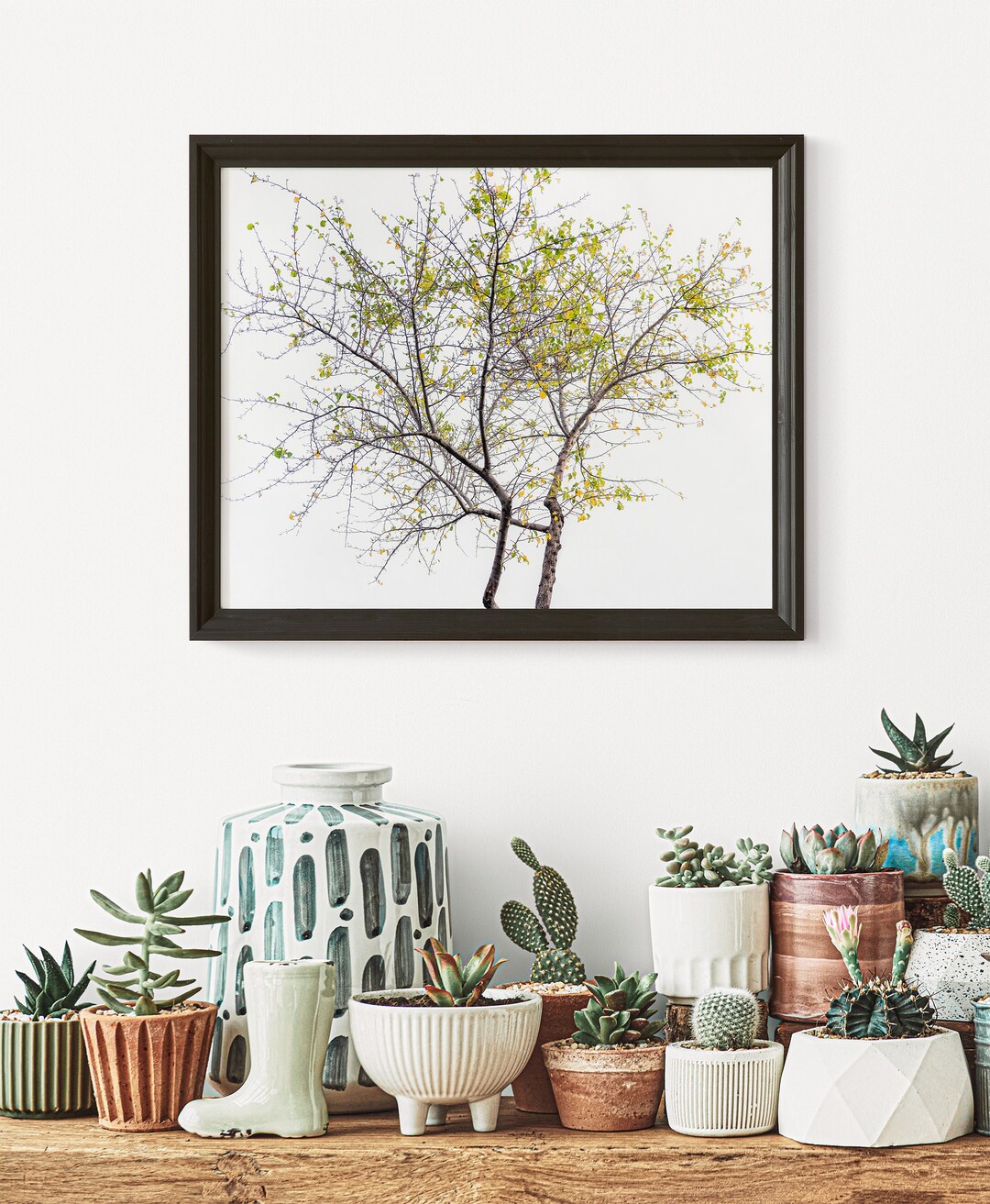 Relaxing Tree Wall Art, Printable Tree Photo, Nature Photography - Etsy