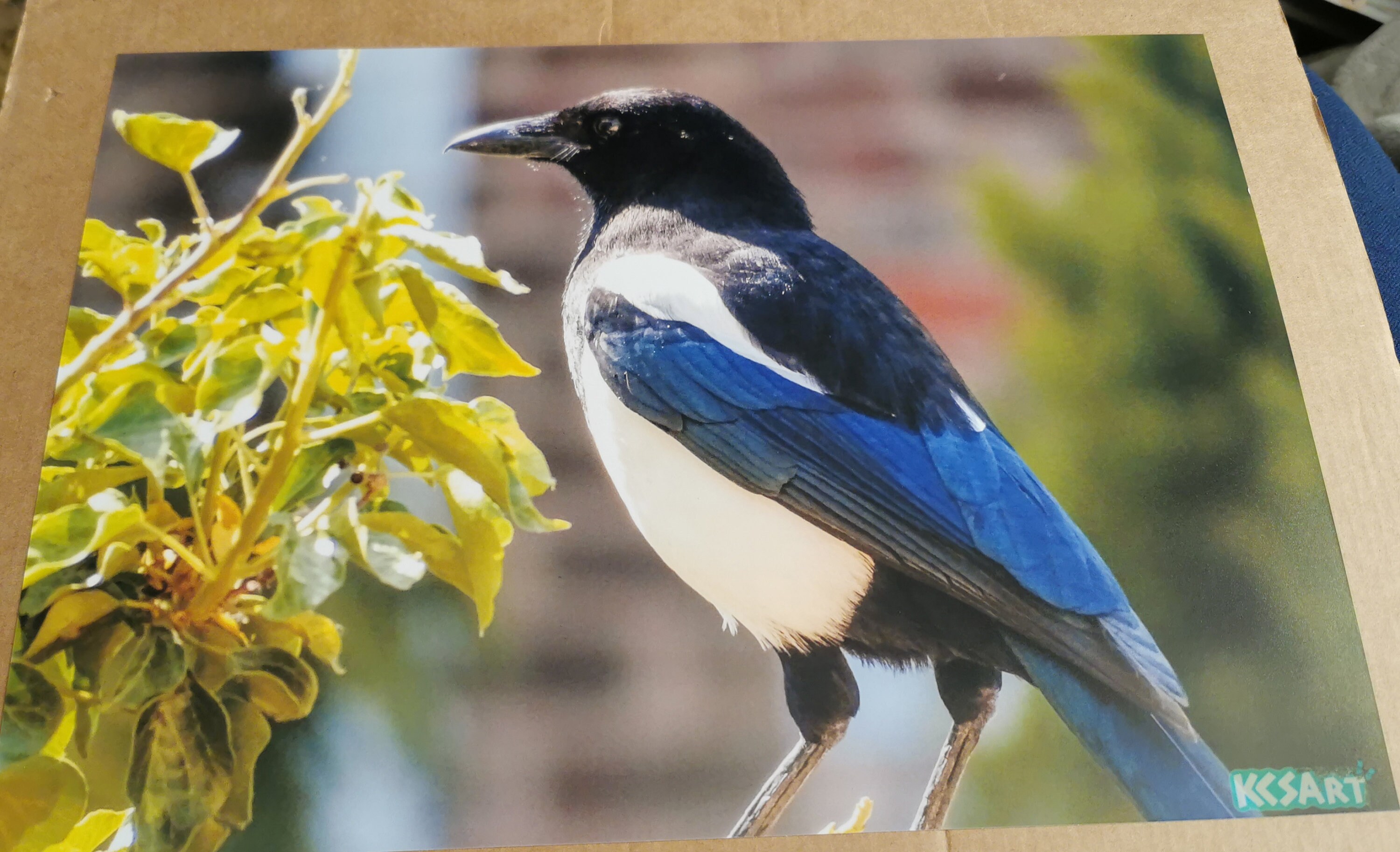 Stunning A4 Framed Magpie Print - Etsy