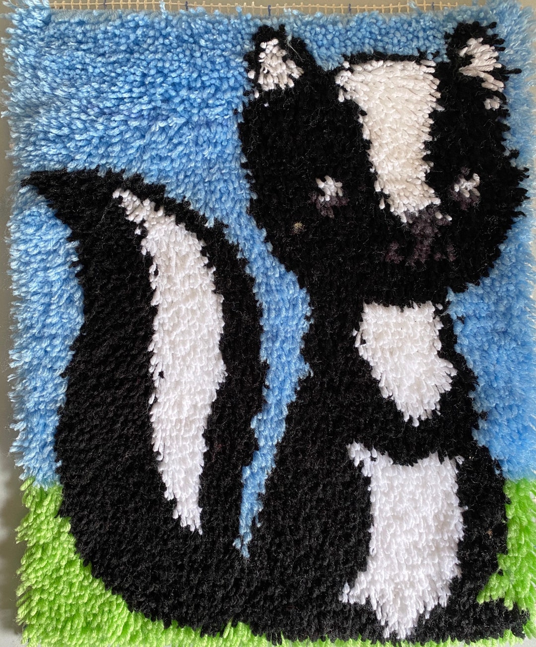 Completed Skunk Latch Hook Rug Unique/handmade - Etsy