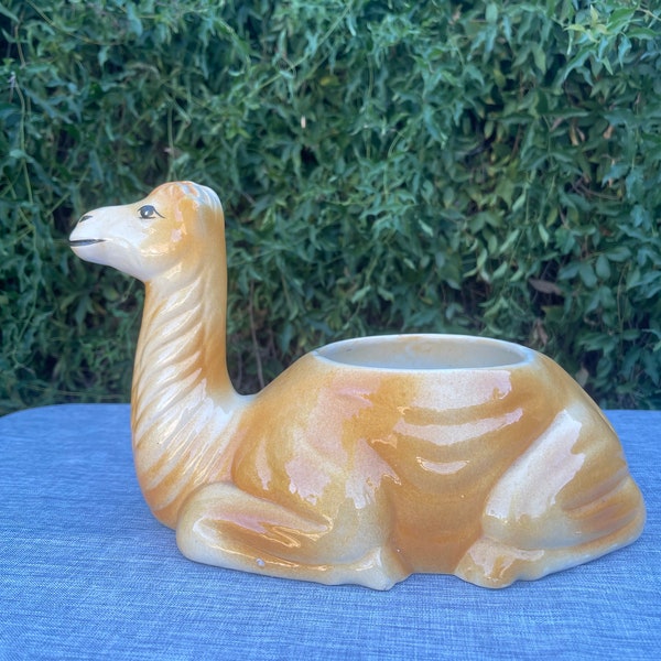 Camel Planter - Etsy