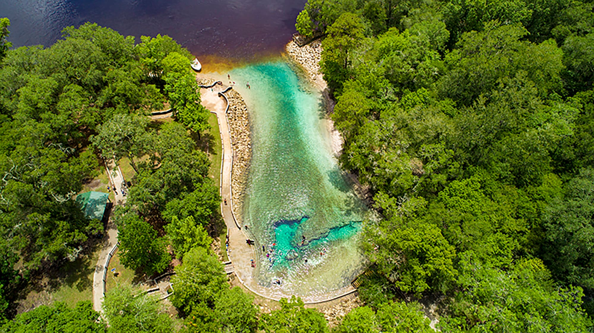 Little river springs on the Suwannee river | Etsy