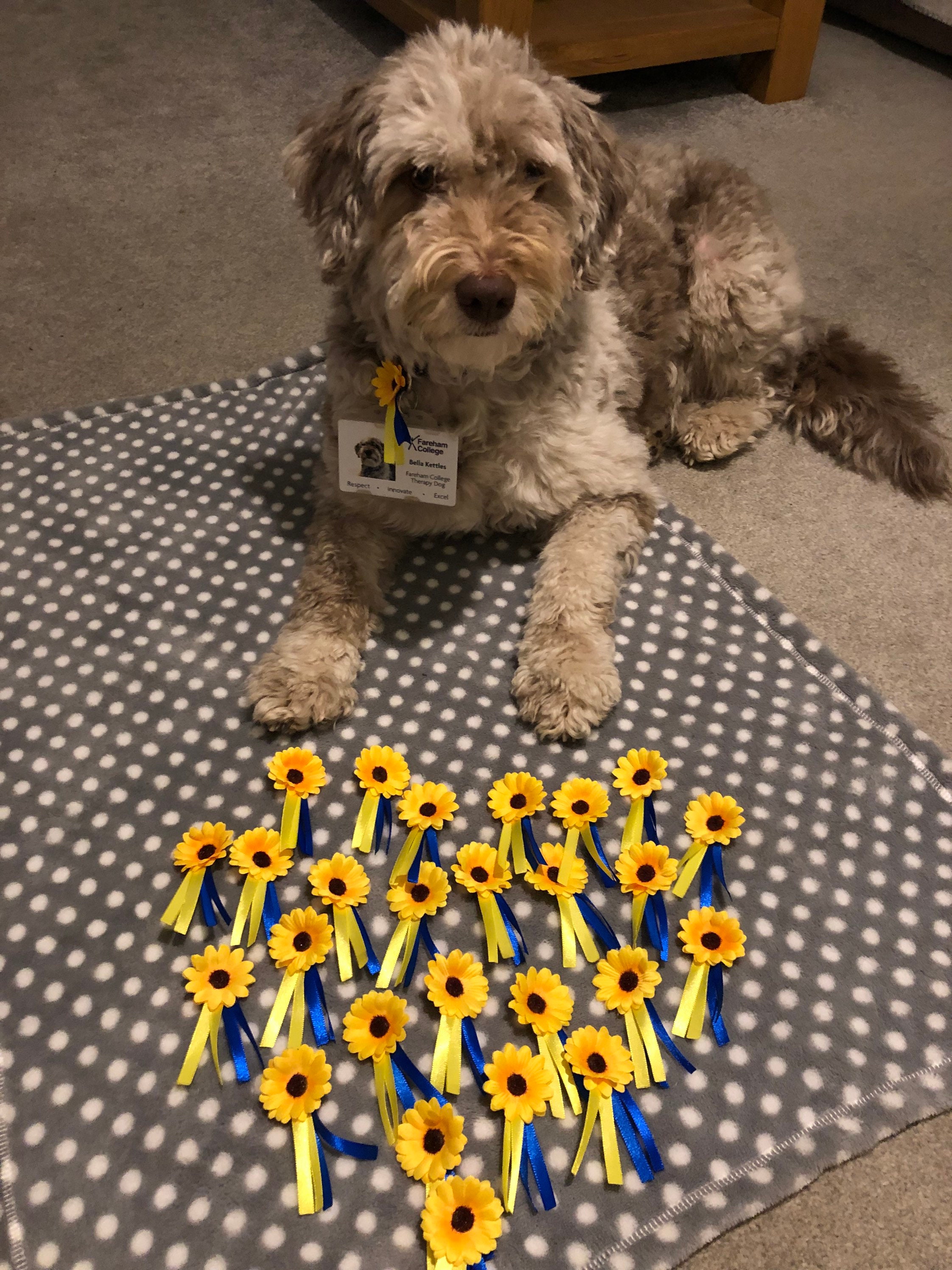 Sunflower Ukraine National Flower and Flag Pin to Show - Etsy