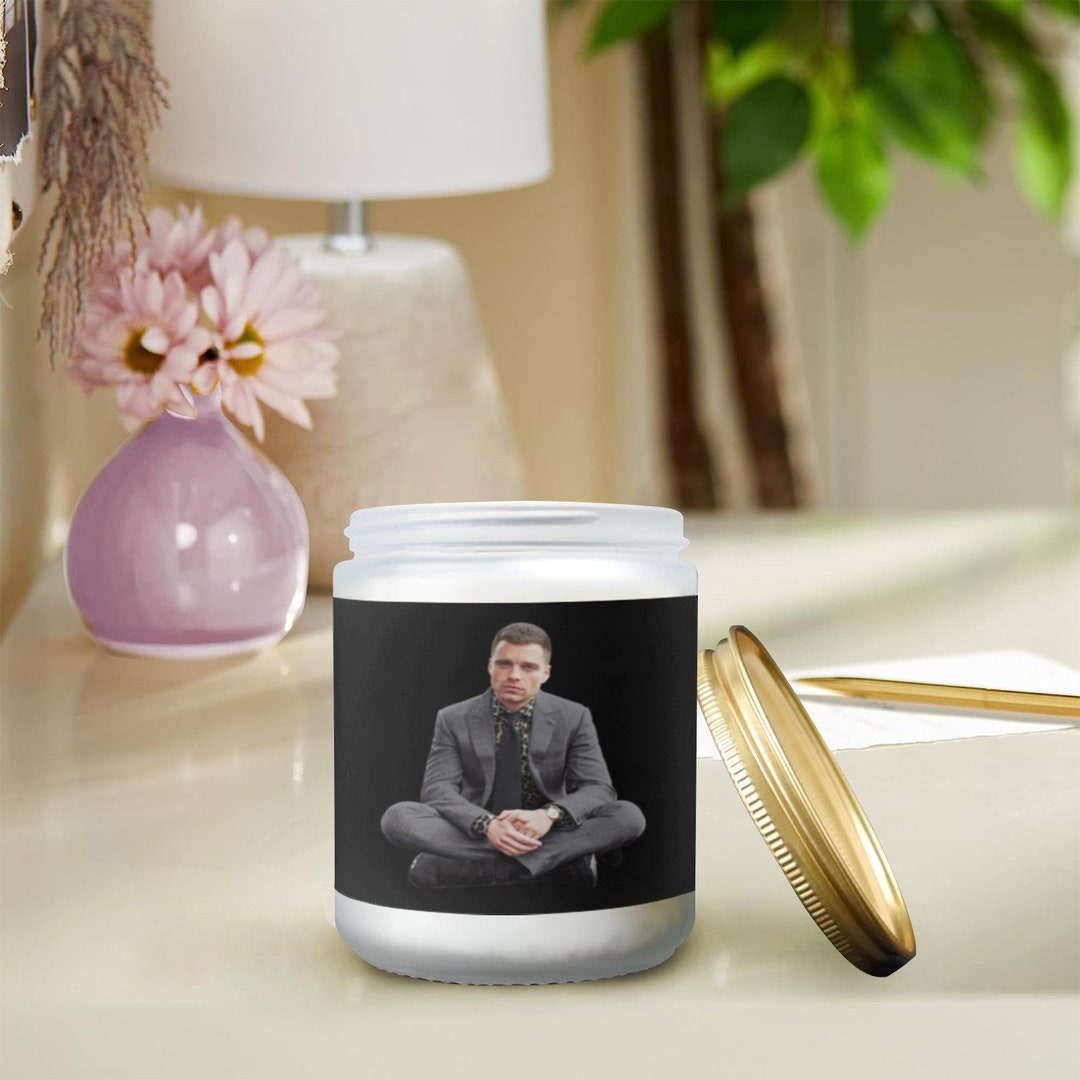 Sebastian Stan Candle Vanilla Lavender Orange Lemon Scent Birthday ...