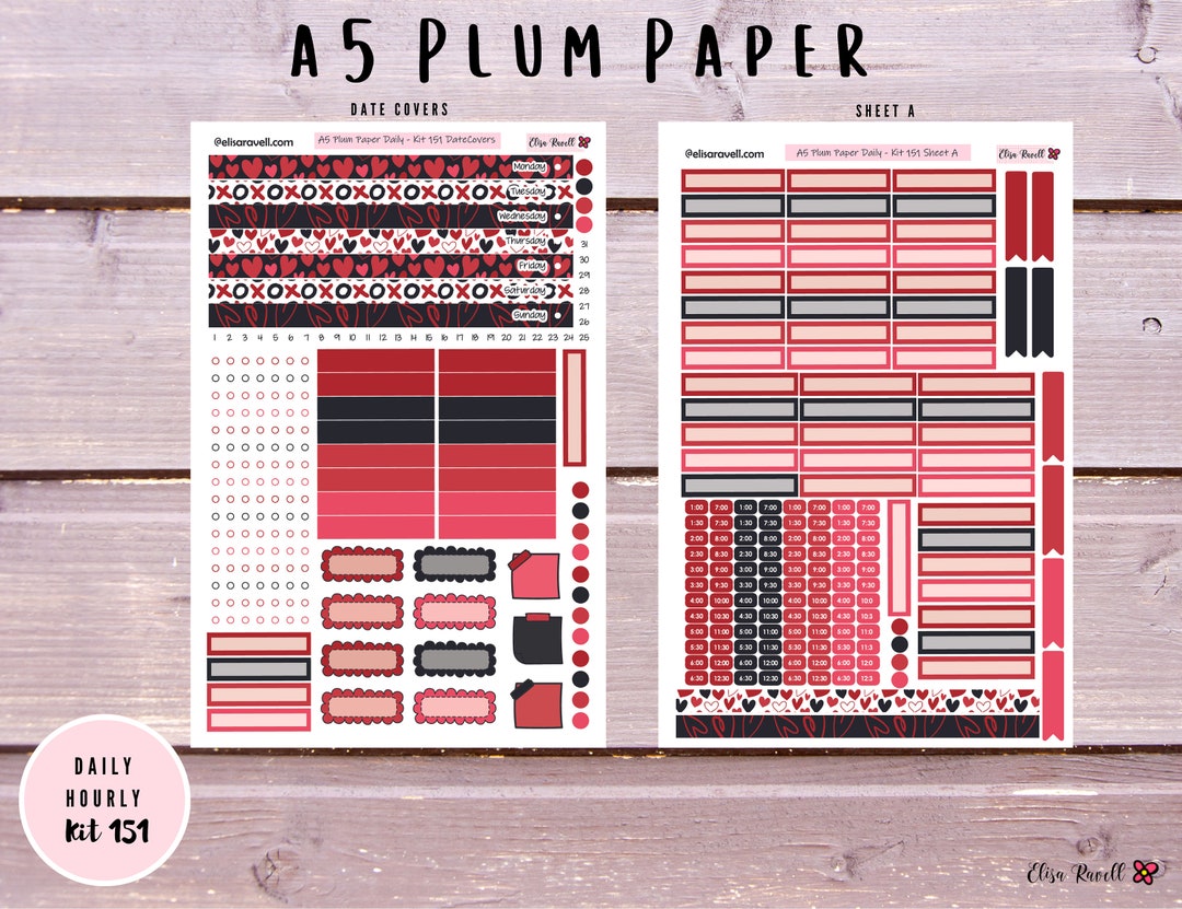 A5 Plum Paper Daily Hourly Planner Stickers Kit With XOXO - Etsy