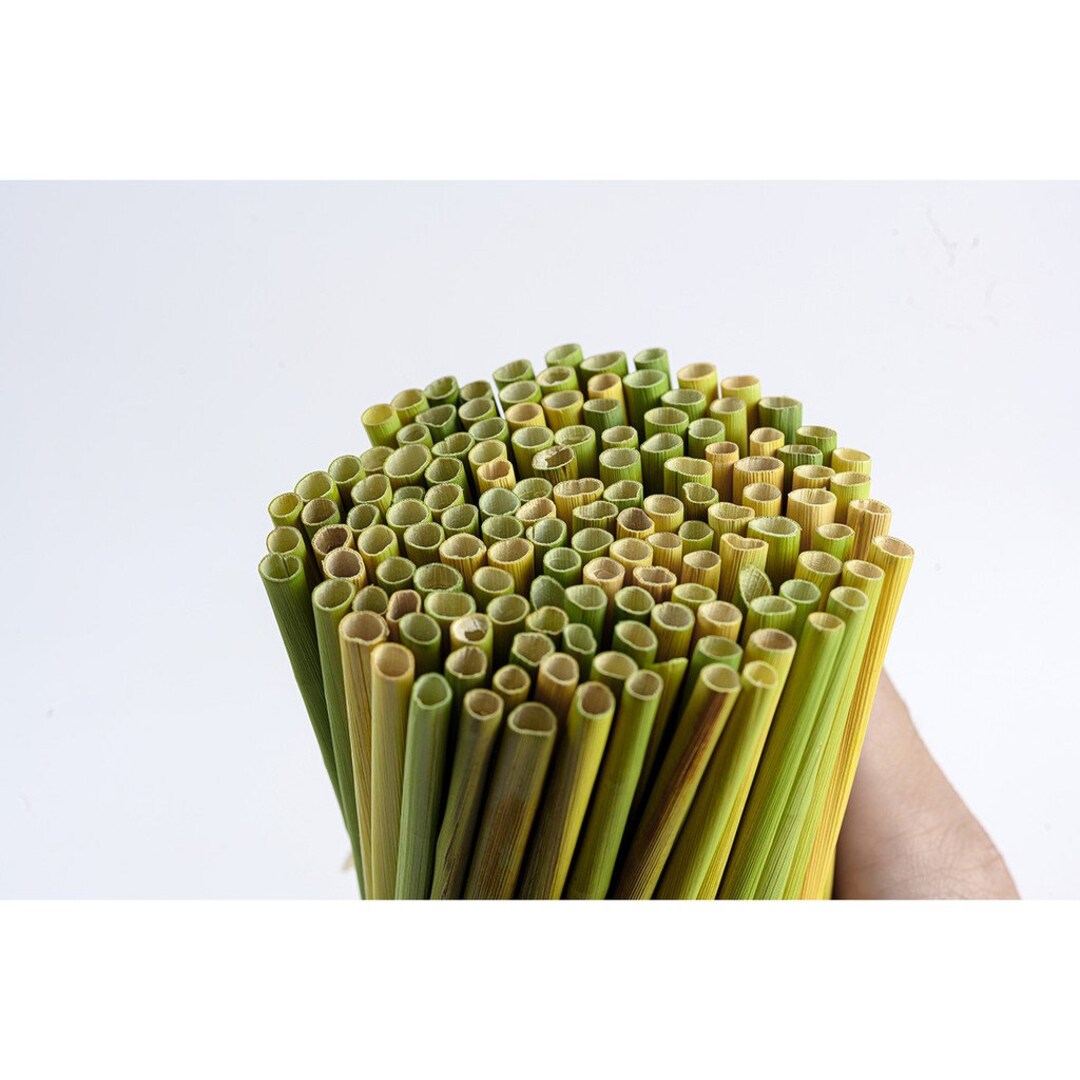 Grass Straws, Box of 100 Tubes, 15 Cm Long Suitable for All Kinds of ...