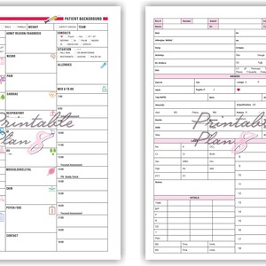 Single Patient Nurse Report Sheet BUNDLE, Nurse Brain, Patient Log ...