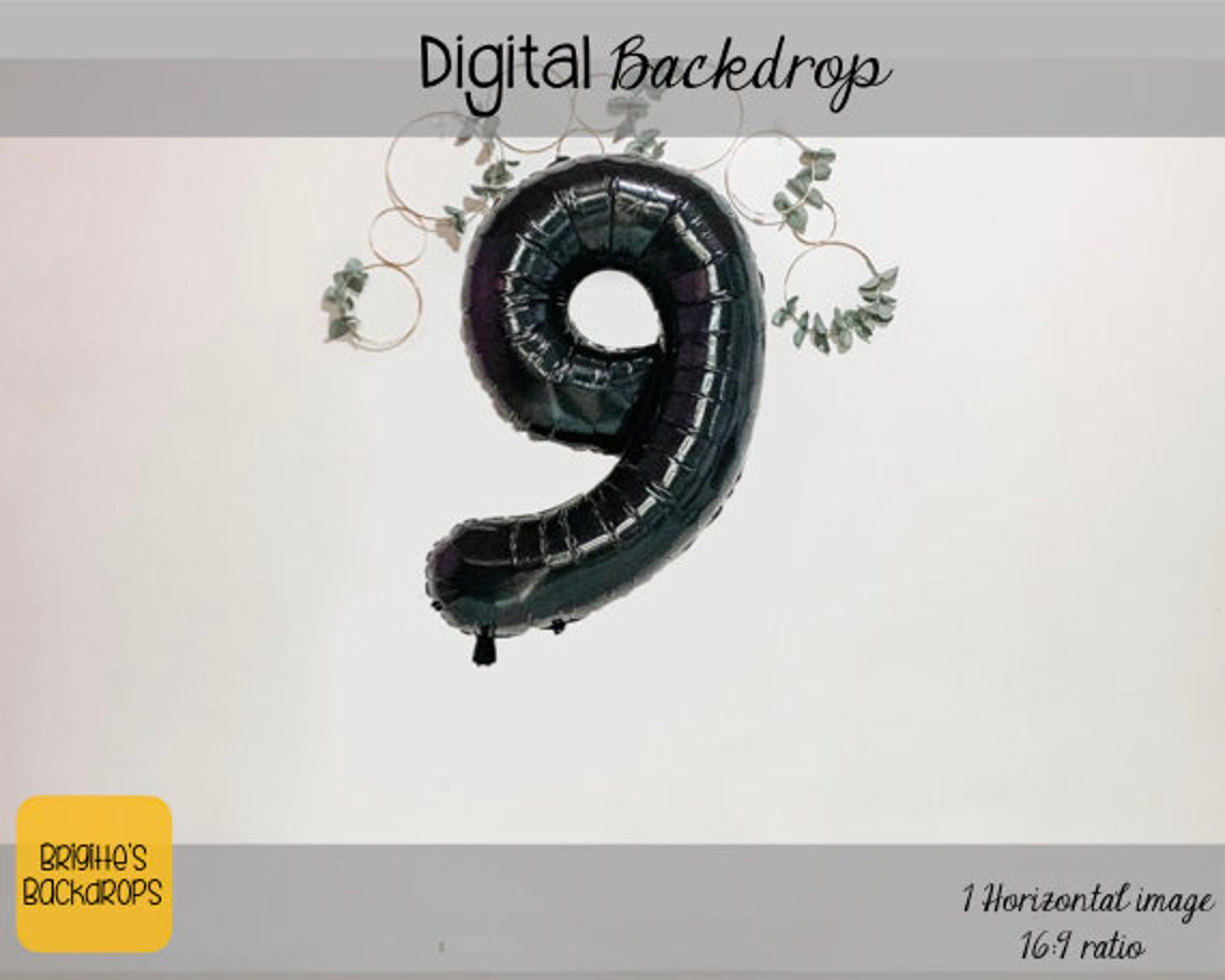 9 Months Backdrop Nine Months Backdrop Sitter Backdrop | Etsy