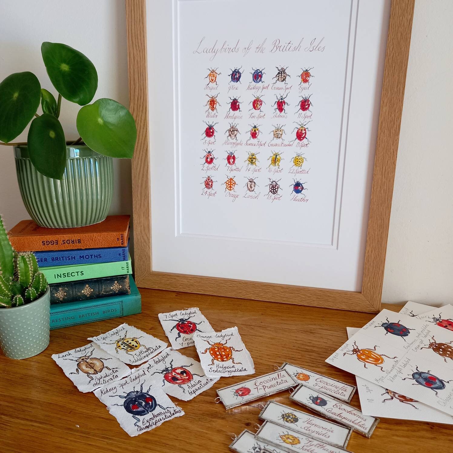 Ladybird Print, Ladybug Art, Chart of British Ladybirds, Watercolour ...