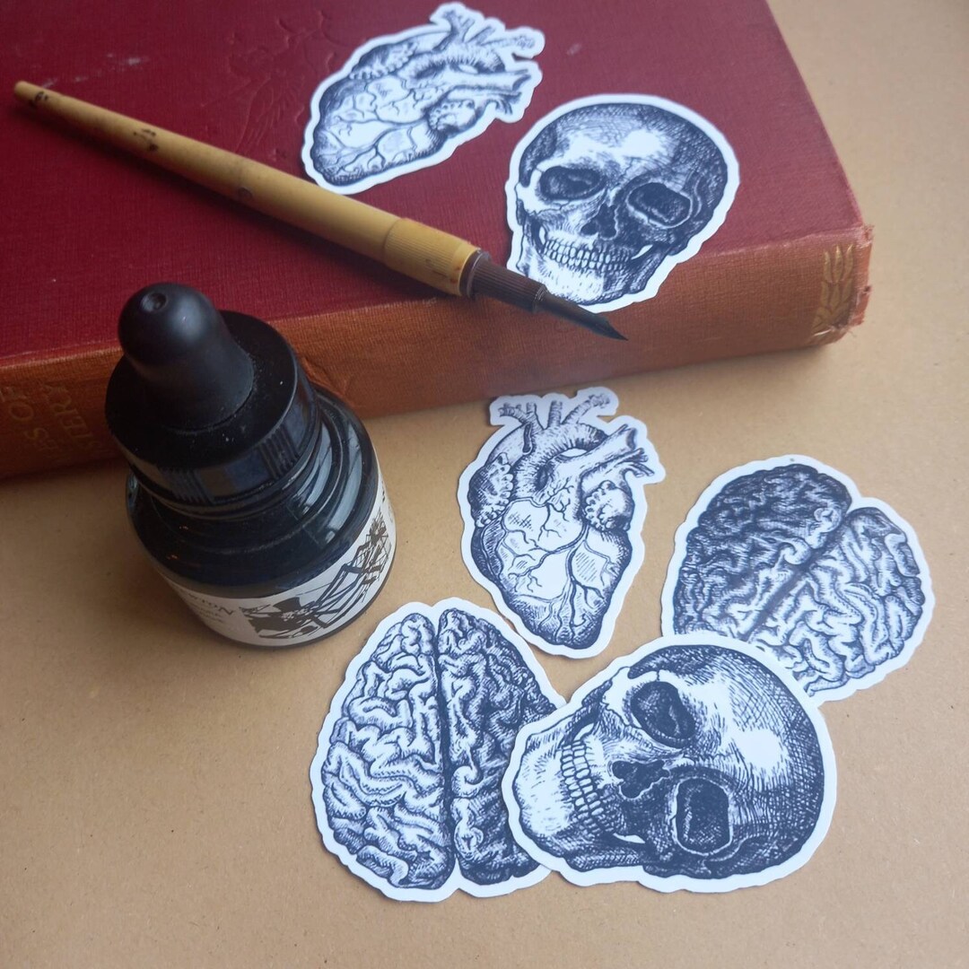 Anatomy Sticker Pack, 6 Medium Stickers, Brain, Heart and Skull ...