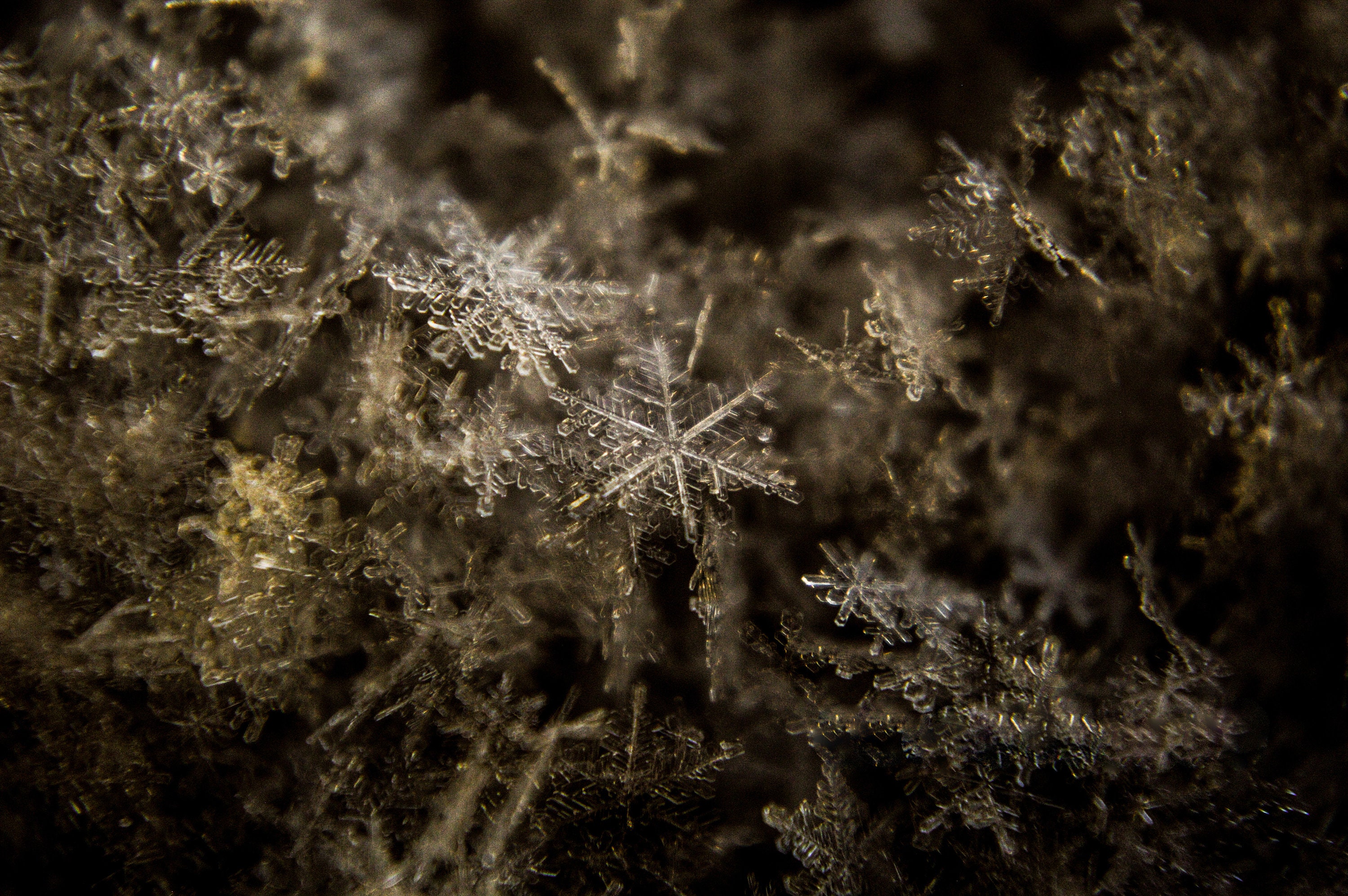 Snowflake, Macro Photography Prints, Nature Photography, Snowflake ...