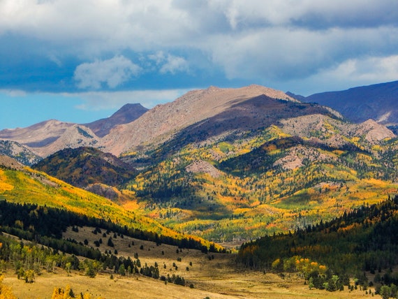 Fall in the Colorado Rockies Autumn Colors Photograph Wall | Etsy