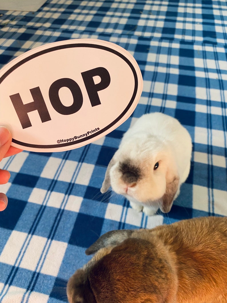 TWO Oval Bunny Bumper Stickers (waterproof/weatherproof) - Etsy