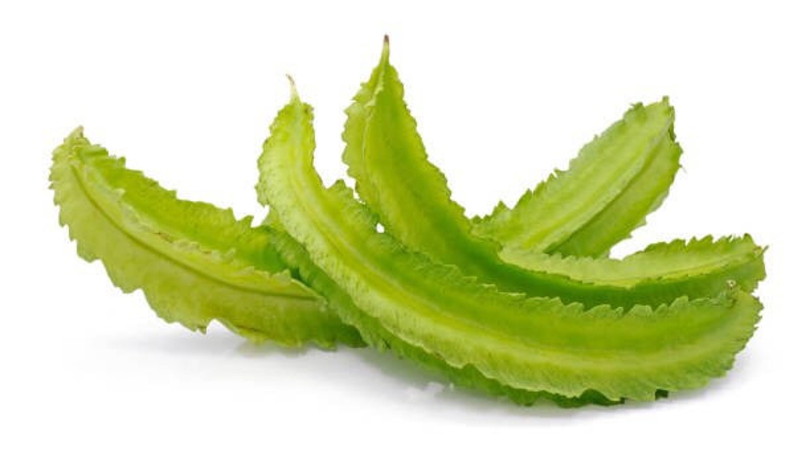 5 Seeds WINGED BEAN Goa Bean Four Angled Bean Dragon Bean - Etsy UK