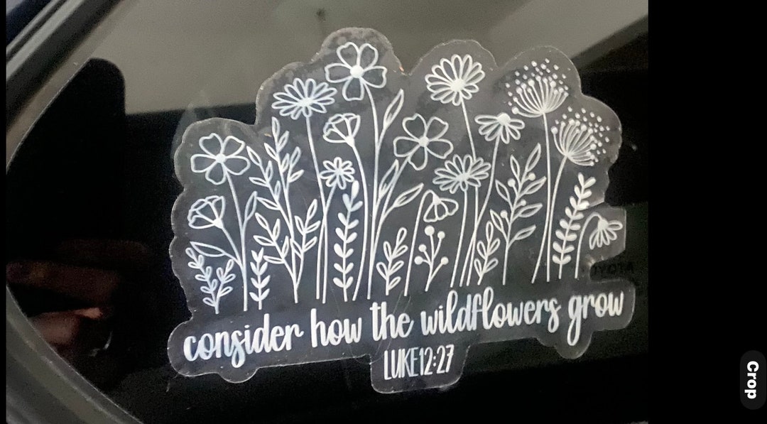 Consider How the Wildflower Grow Sticker, Transparent Sticker ...