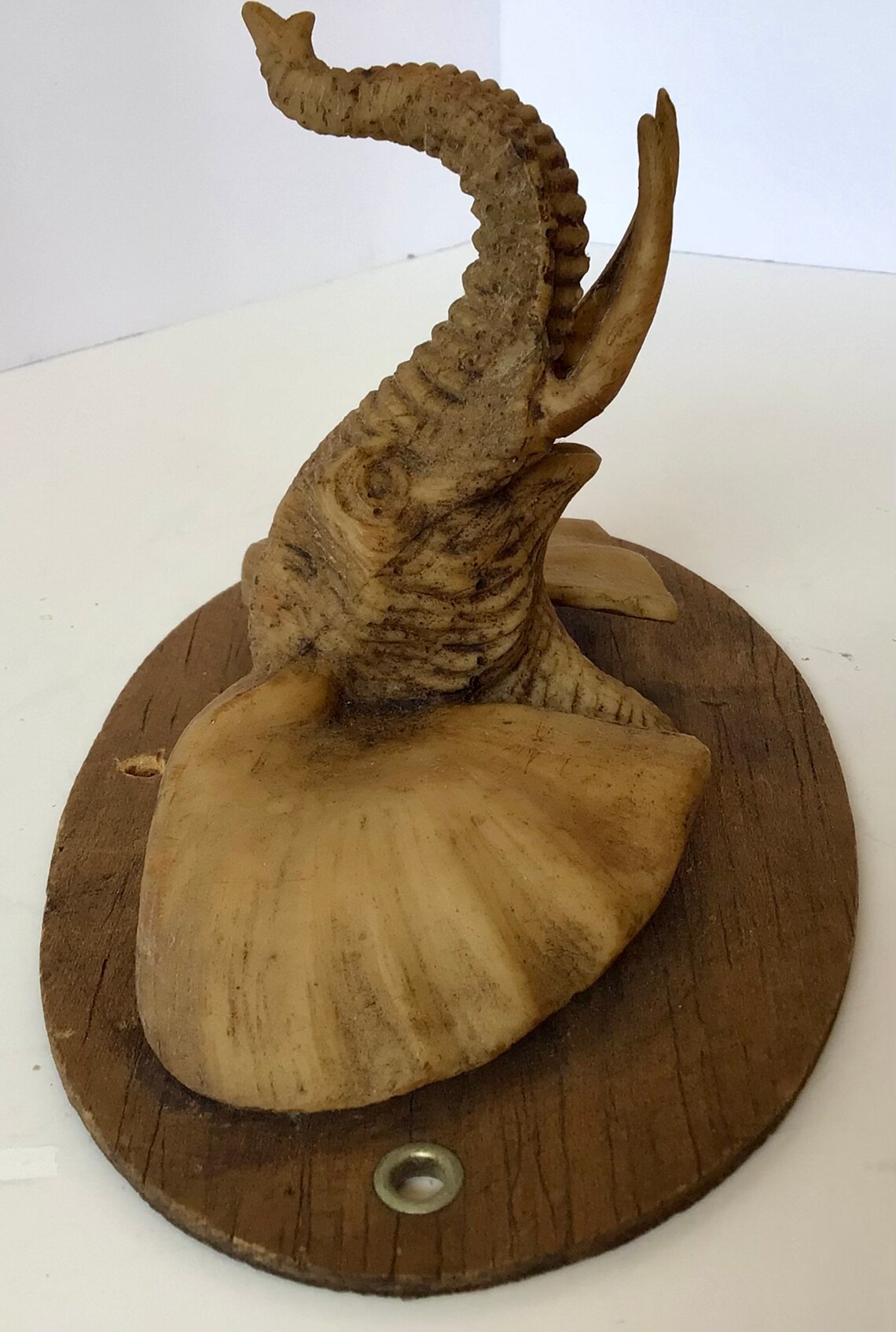 Elephant Head Faux Mounted | Etsy