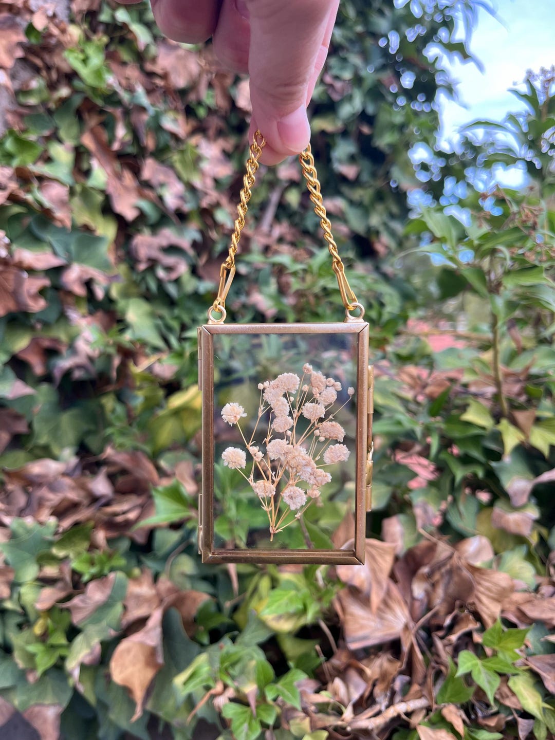 Pressed Baby’s Breath Frame | Real Dried Flowers | Glass Hanging Frame ...