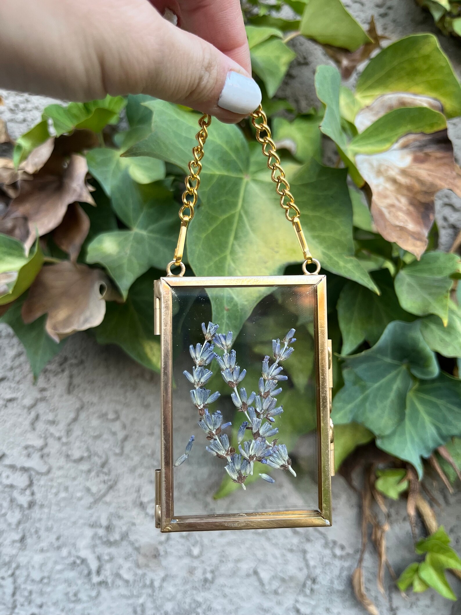 Pressed Floral Lavender Frame | Real Dried Flowers | Glass Hanging ...