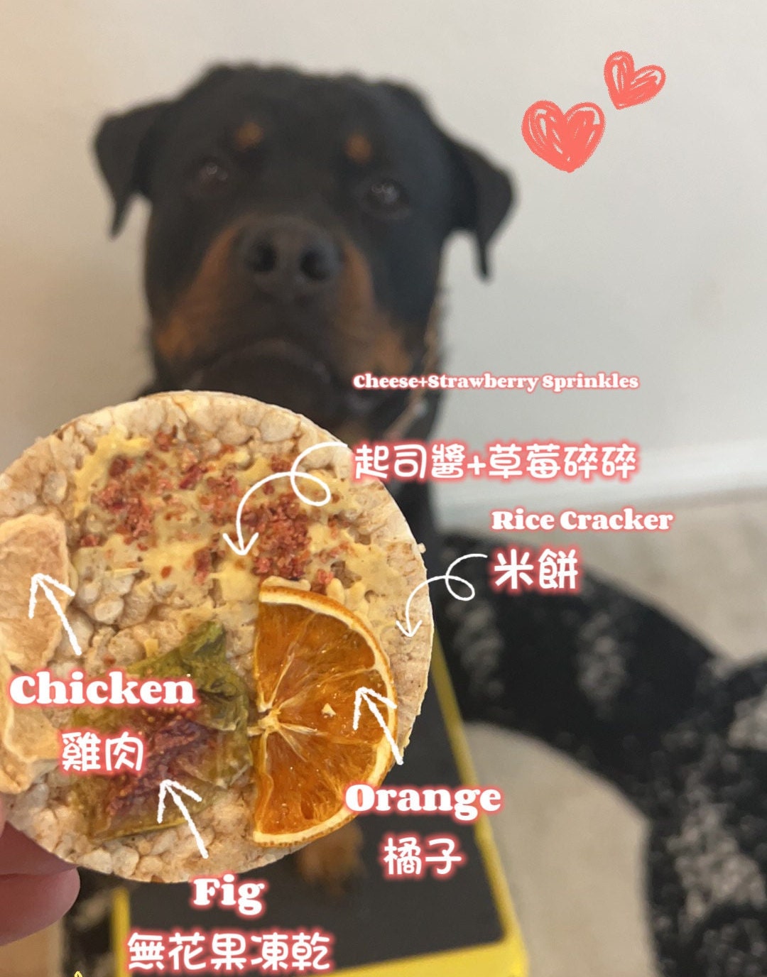 Puffed Rice Cracker Dog Treat (1 Order Include 5 Rice Cakes) - Etsy