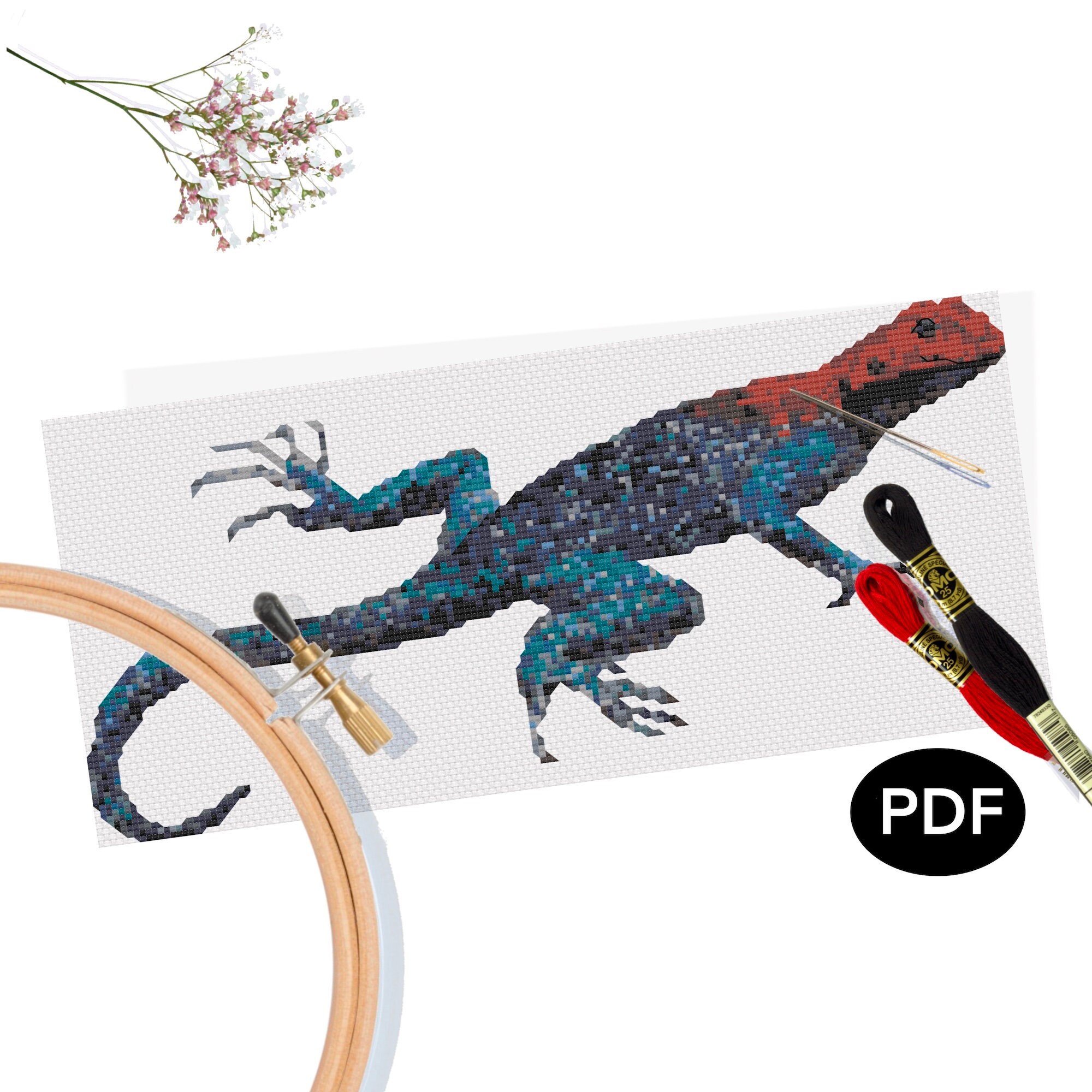 Agama Lizard Diagram