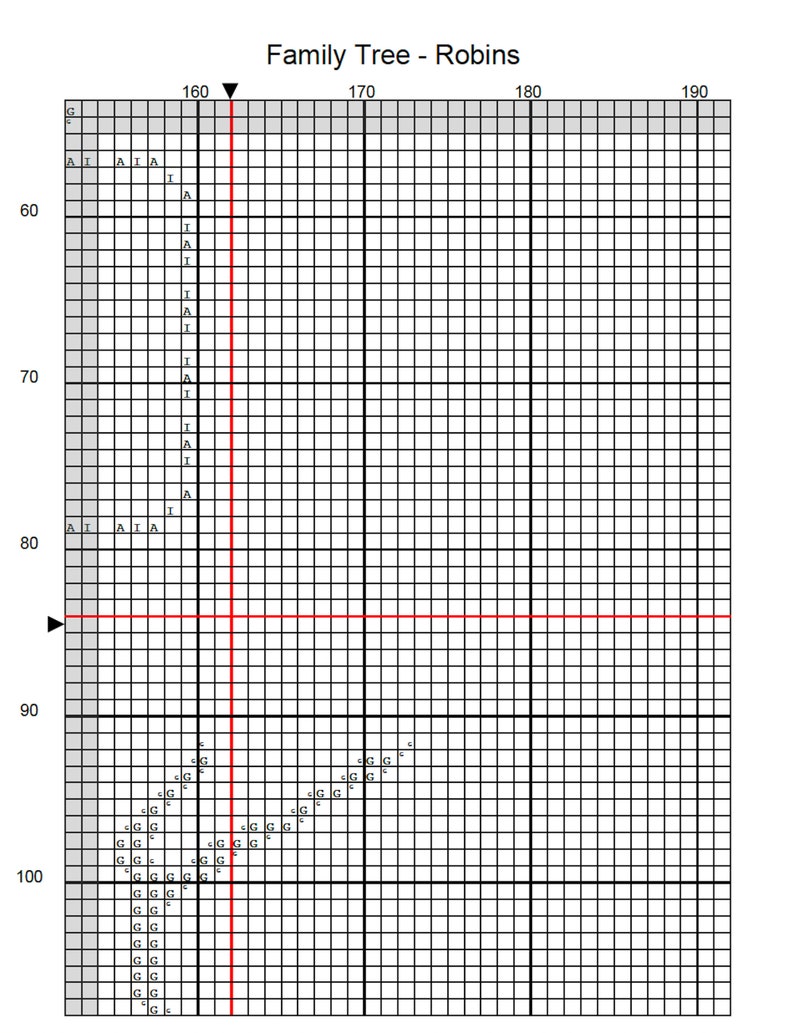 Robin Family Tree Cross Stitch Pattern: UK Bird Design (PDF Pattern) - Etsy