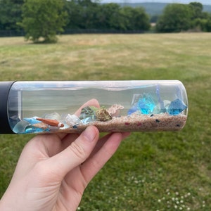 Ocean Animal | Sensory Bottles | Calm Down Bottles | Anxiety & Stress ...