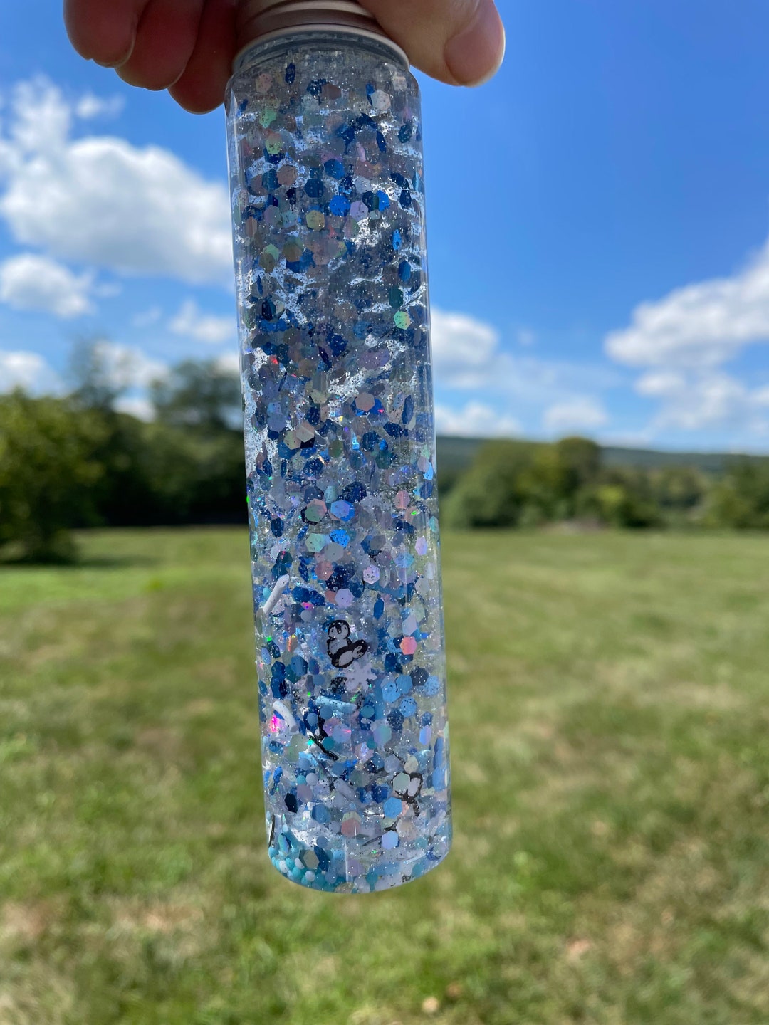 Penguin Holiday | Sensory Bottles | Calm Down Bottles | Anxiety ...