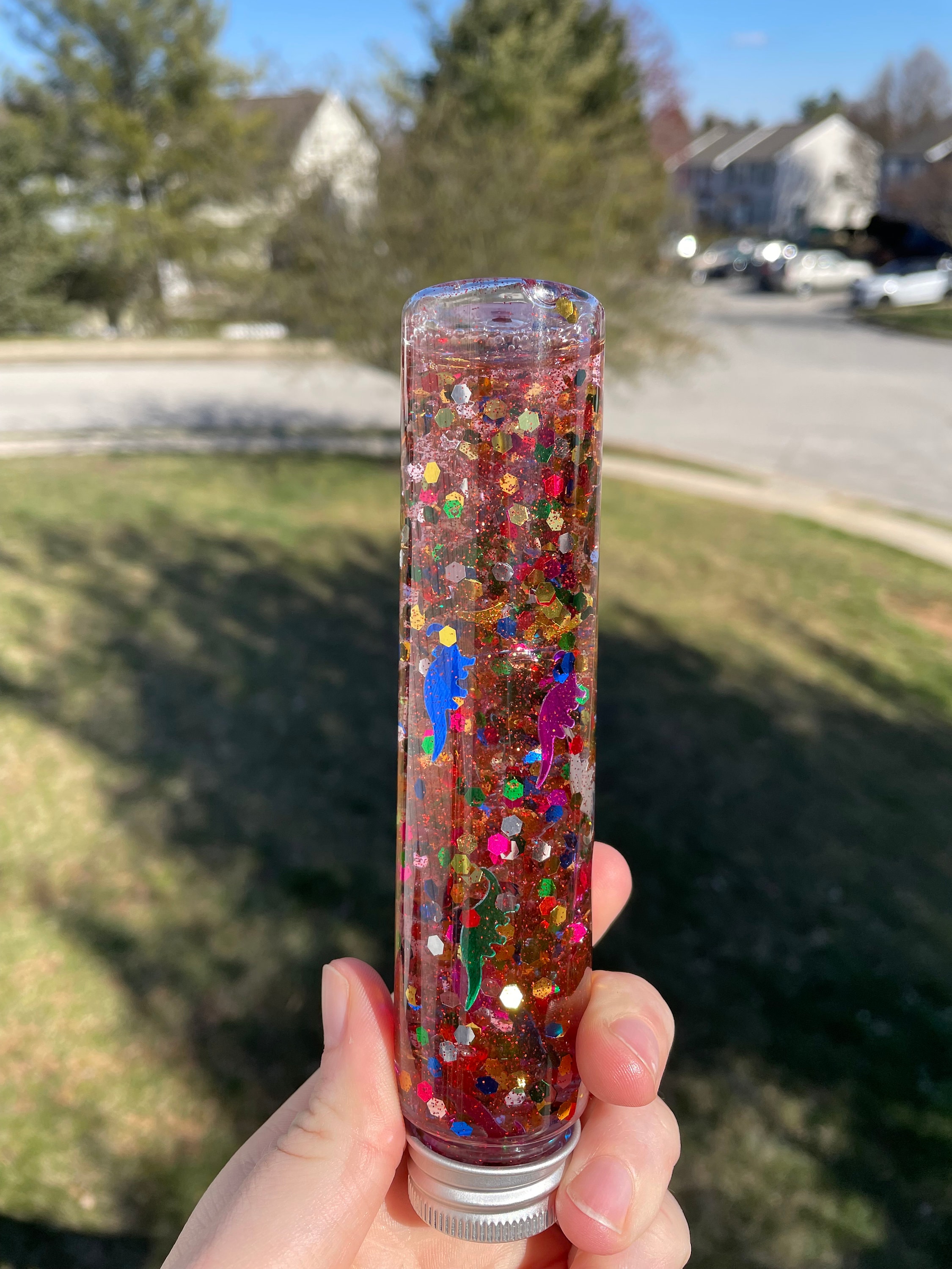 RAWR DINO | Sensory Bottles | Calm Down Bottles | Anxiety & Stress ...