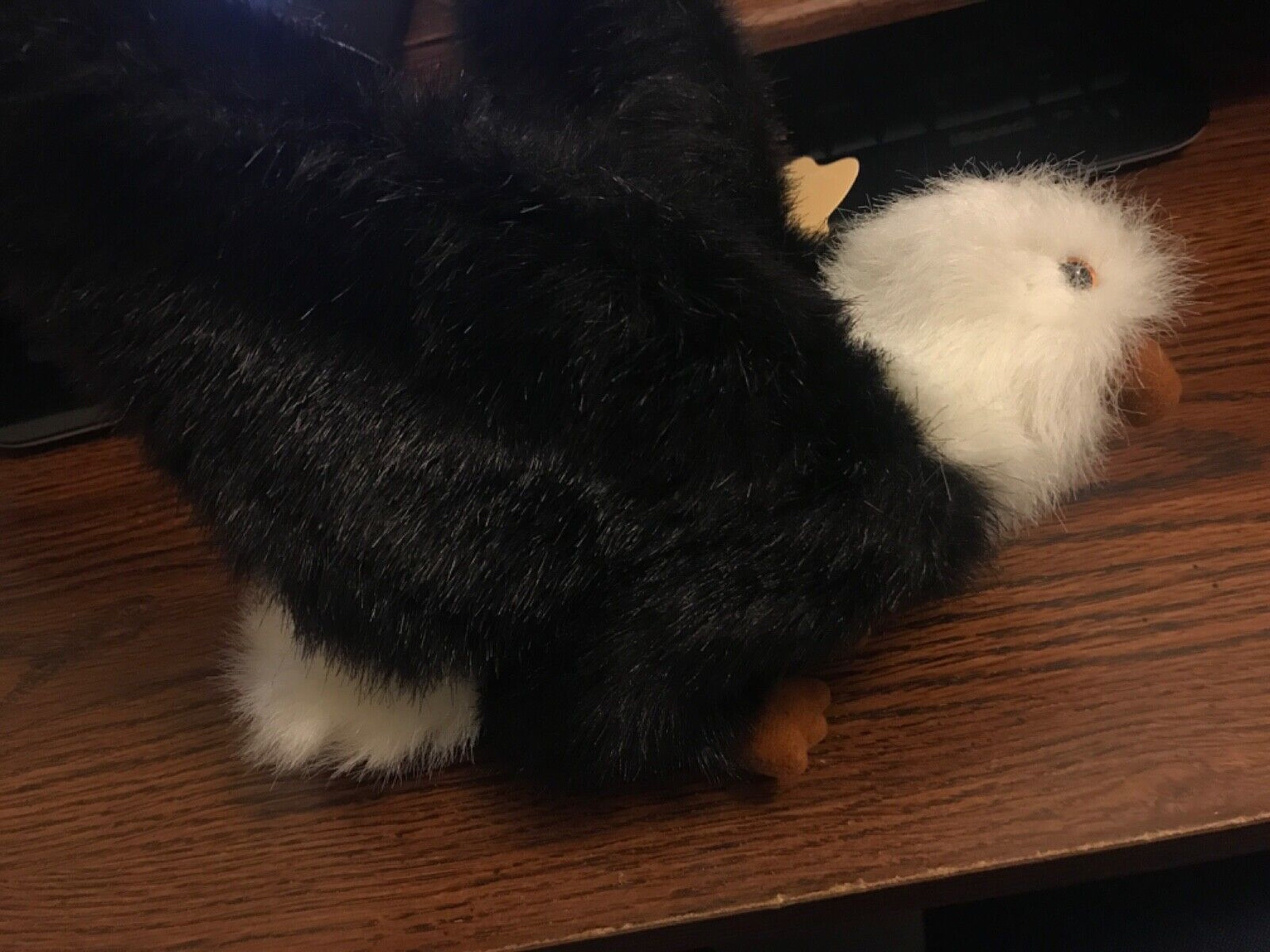 Folkmanis Puppets Bold Eagle Pretend and Play Plush Fluffy - Etsy