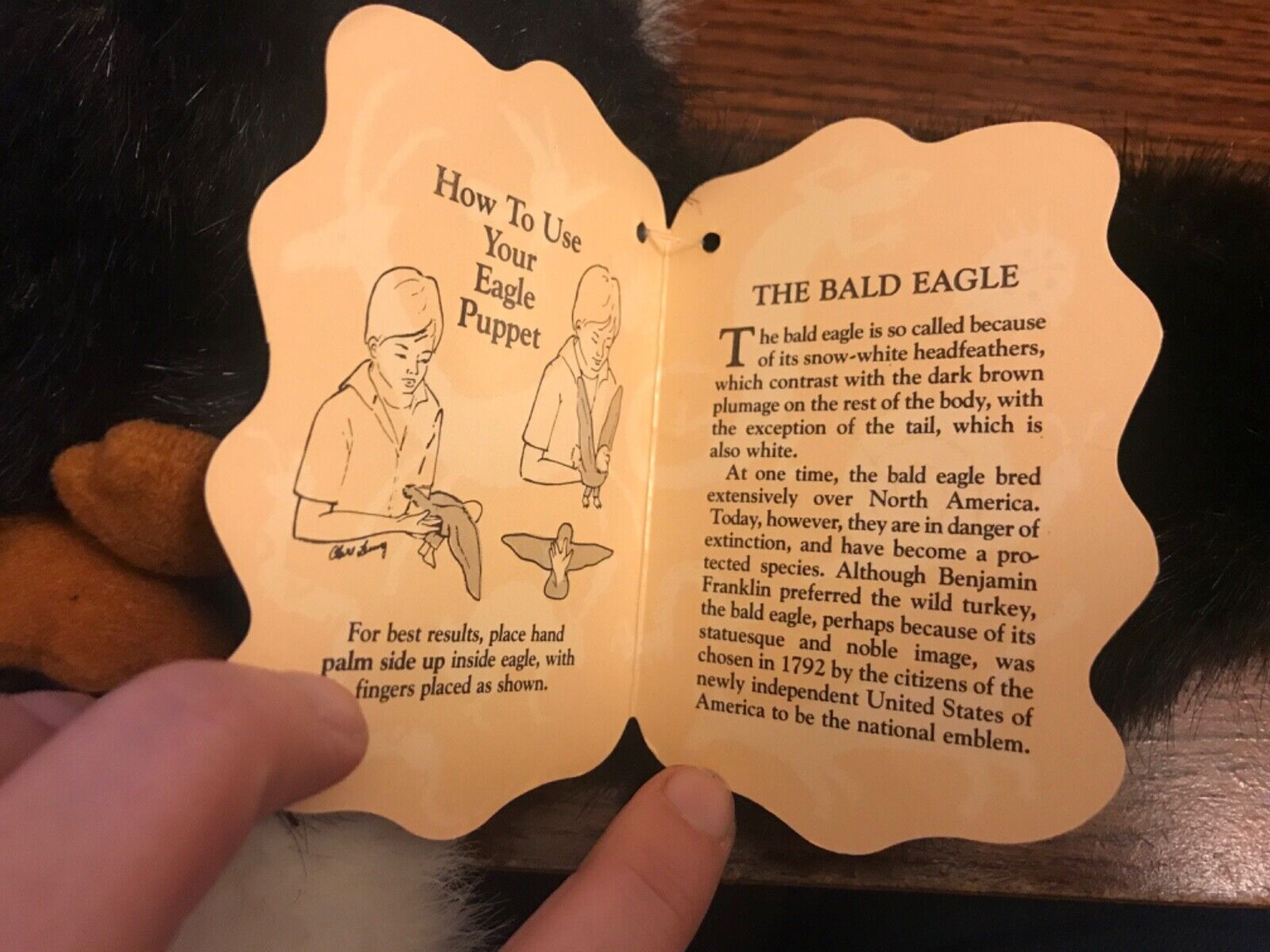 Folkmanis Puppets Bold Eagle Pretend and Play Plush Fluffy - Etsy