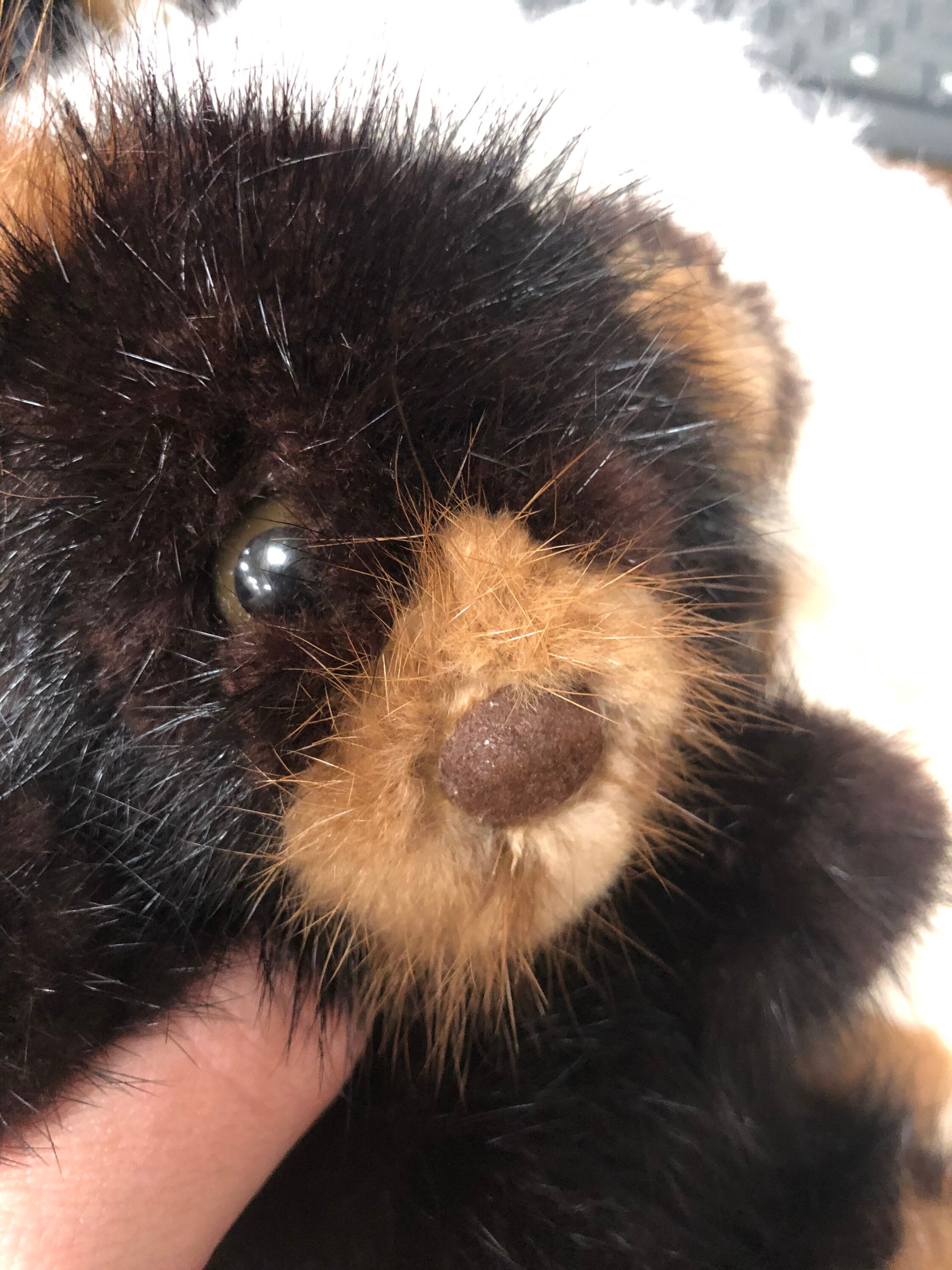 Real Mink Teddy Bear Cub, Natural Fur Collectible Bear Plush Stuffed ...